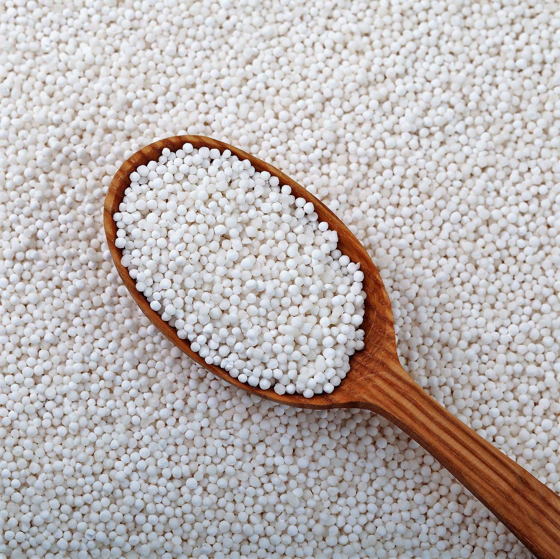 Tapioca Granulada | Empório Manjericão