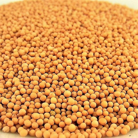 Sementes de Mostarda | Empório Manjericão