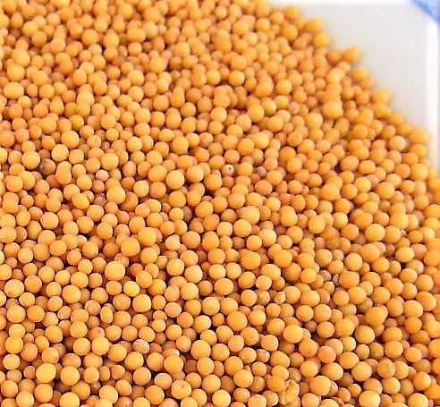 Sementes de Mostarda | Empório Manjericão